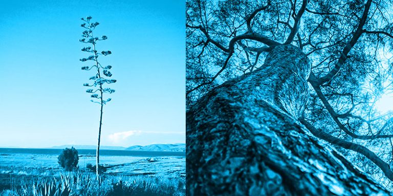 Parents' Guide to Critical Thinking: Ages 10-12 | REBOOT FOUNDATION